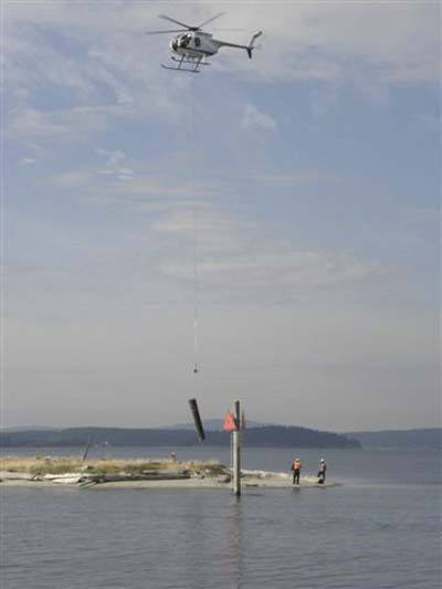 Logs away | Islands' Weekly