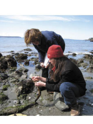 Sign up now for Beach Watchers | Islands' Weekly