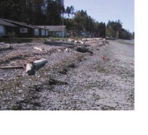 Shoreline armoring and its impact | Islands' Weekly