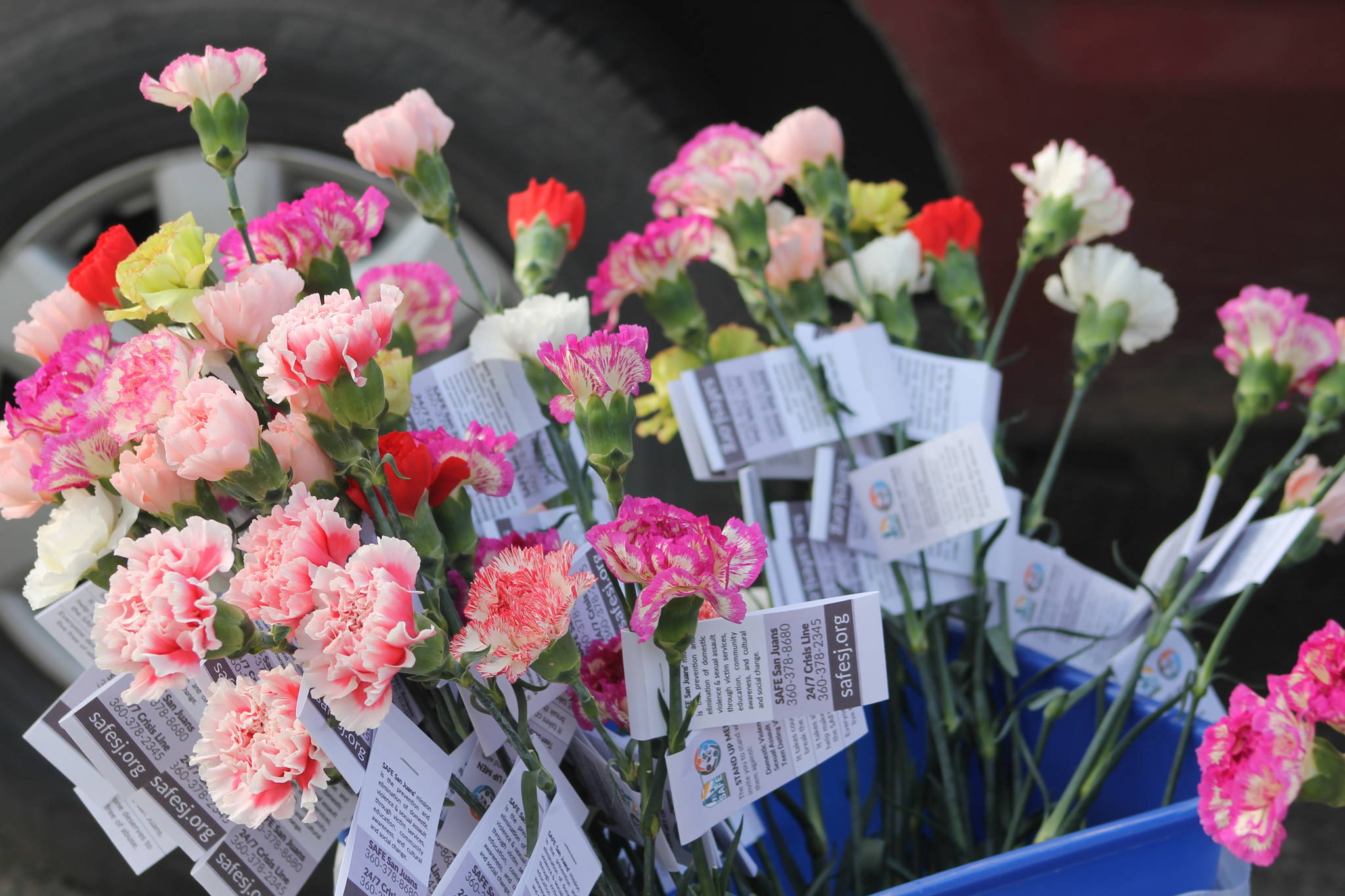 Carnations around town from Stand Up Men | Islands' Weekly