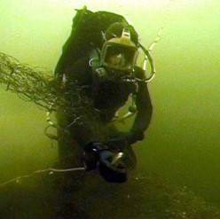 Discarded fishing nets continue to catch wildlife | Islands' Weekly