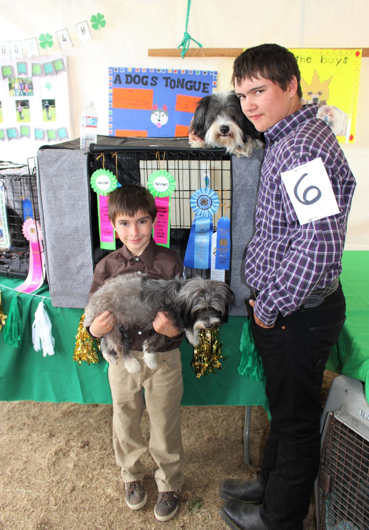 Willis family fair winners | Islands' Weekly