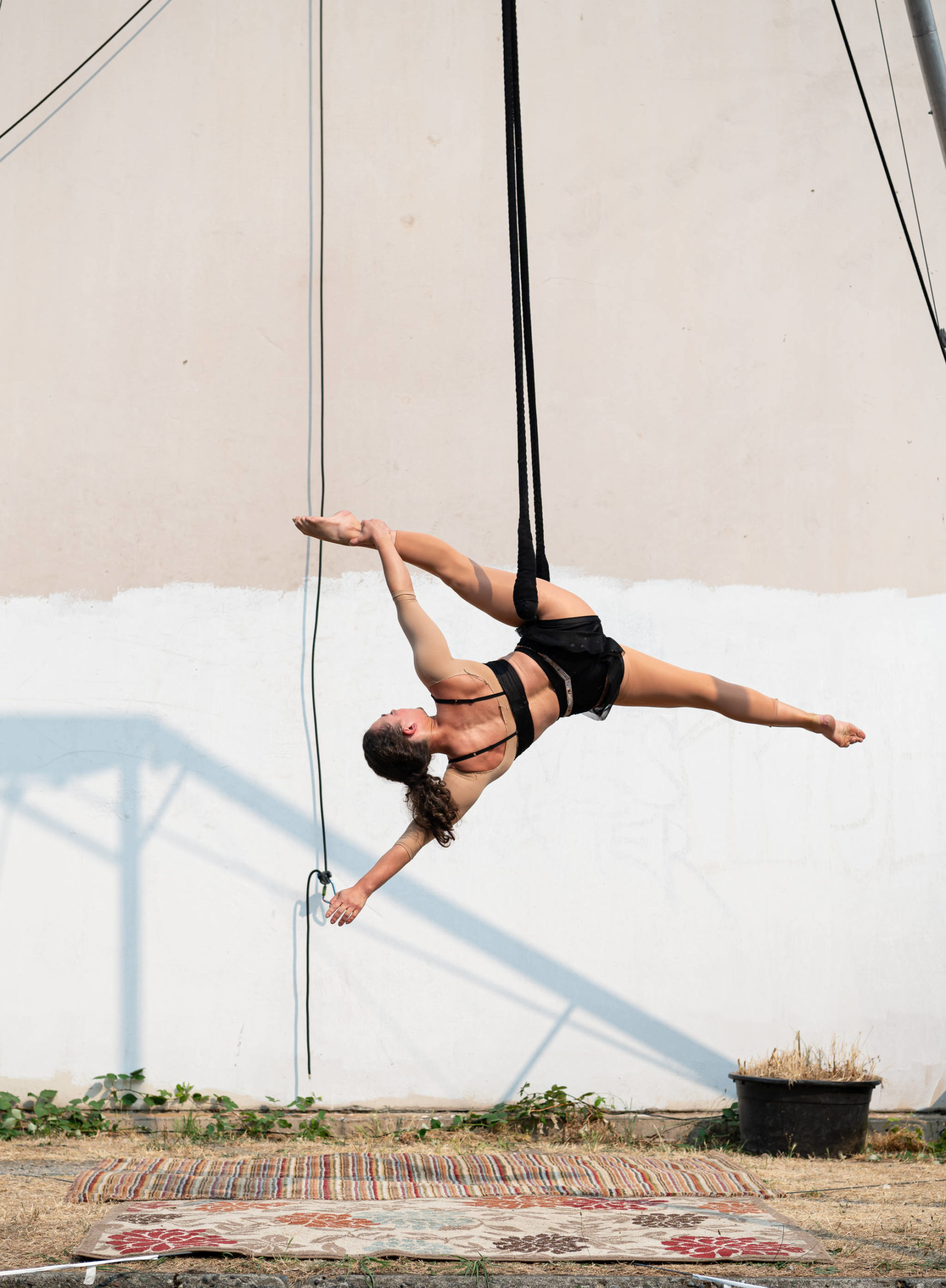 Seattle circus company returns to Lopez August 29 | Islands' Weekly