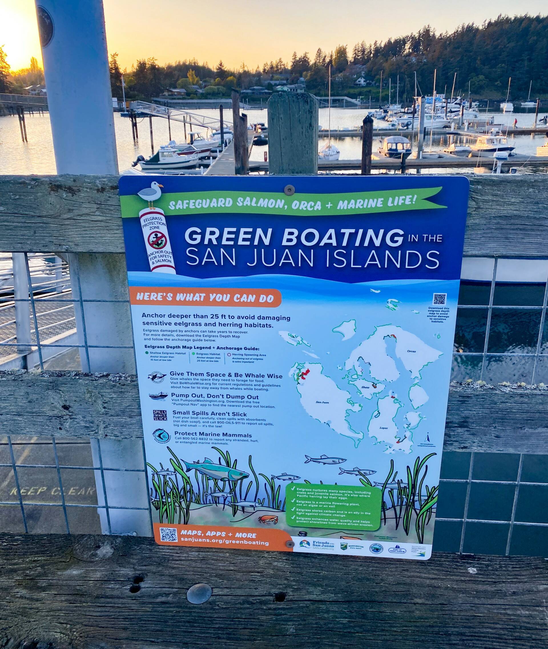 Protect marine ecosystems and island resources — become a green boater ...