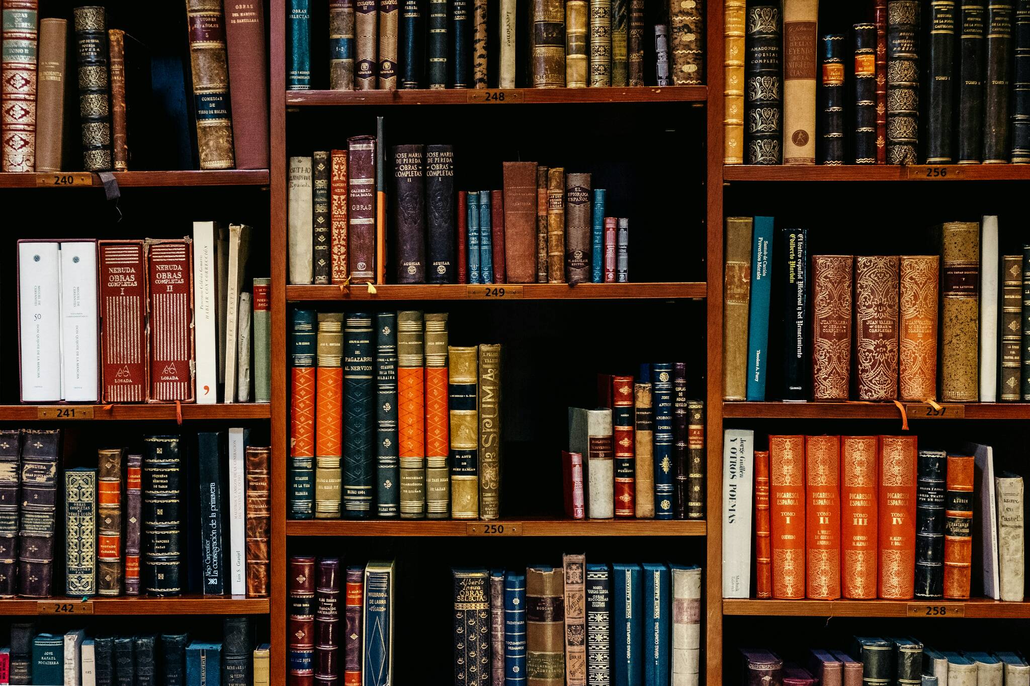 State budget shuts out funding for Dolly Parton’s Imagination Library ...