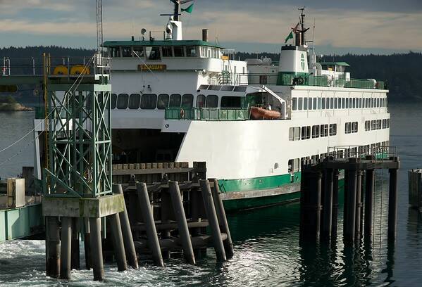 Ferry hopes adrift | Islands' Weekly